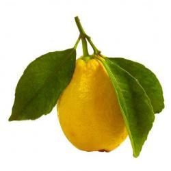 Lemon – Wolfwalker Collections